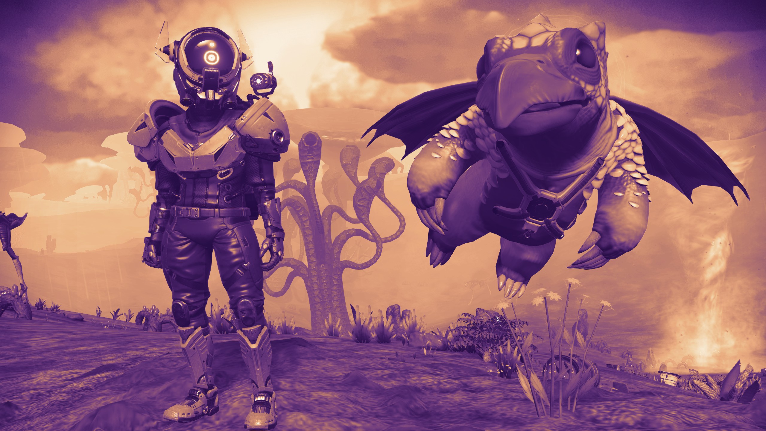 Companions Development Update - No Man's Sky